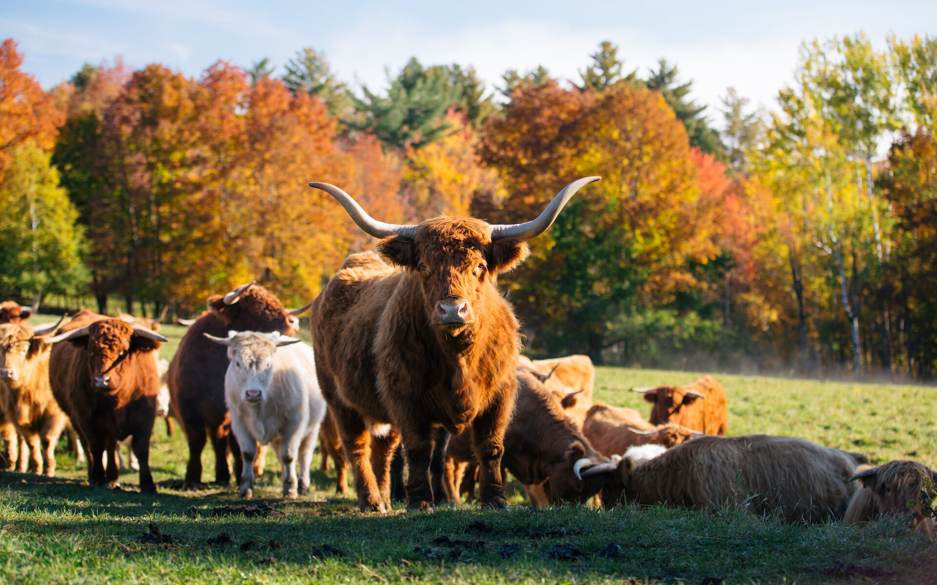 Spring, Summer and Fall Activities in Stowe, VT | von Trapp Family ...